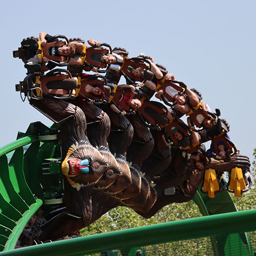 Mandrill Mayhem • World of Jumanji • Theme Park Guide • Chessington Buzz