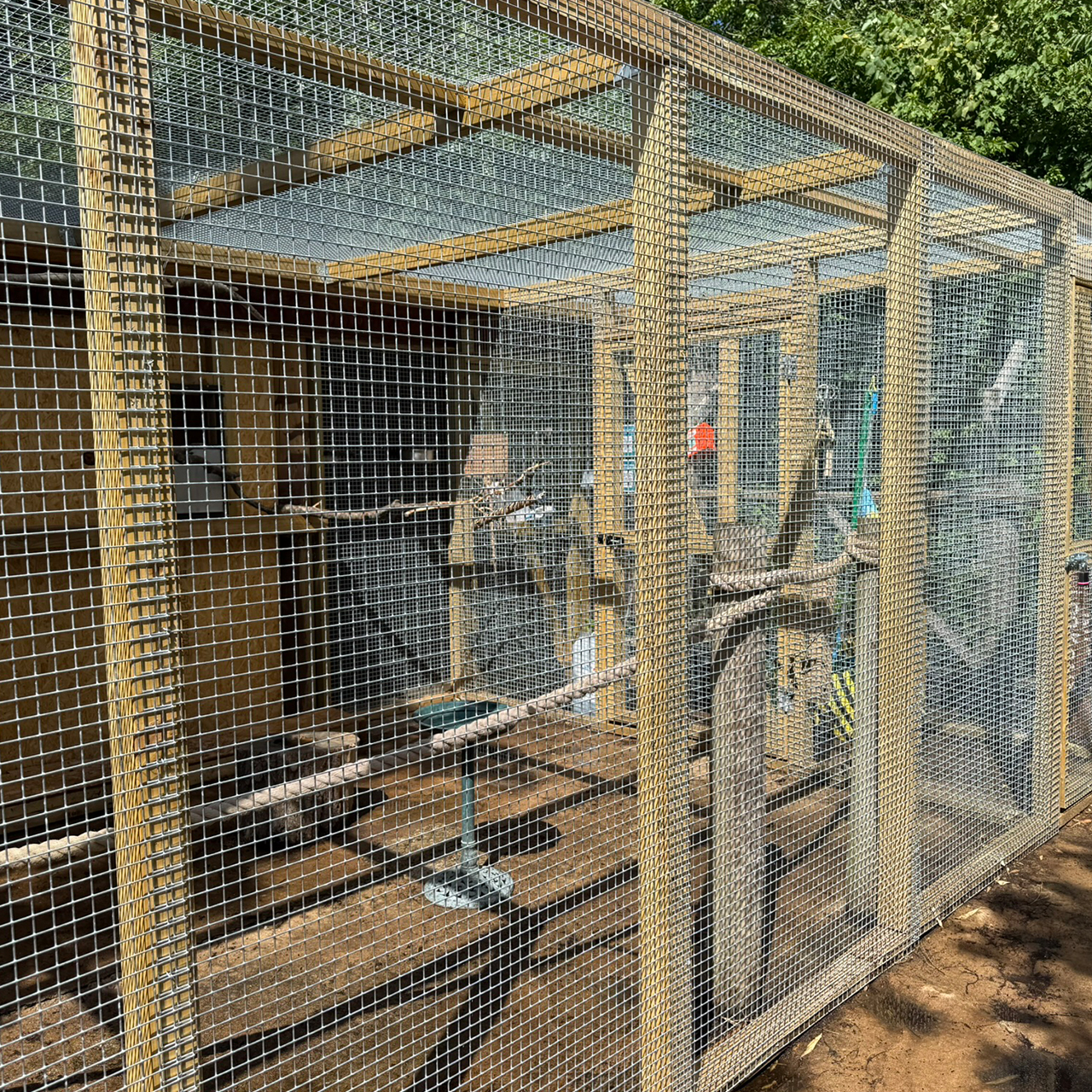 Project Zoo Construction • Chessington Buzz